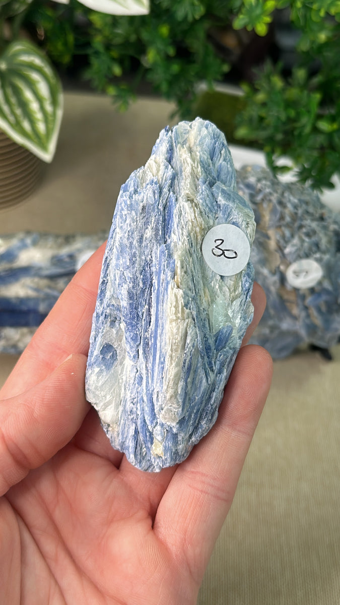 Raw Kyanite – Infinity Crystals by Moana