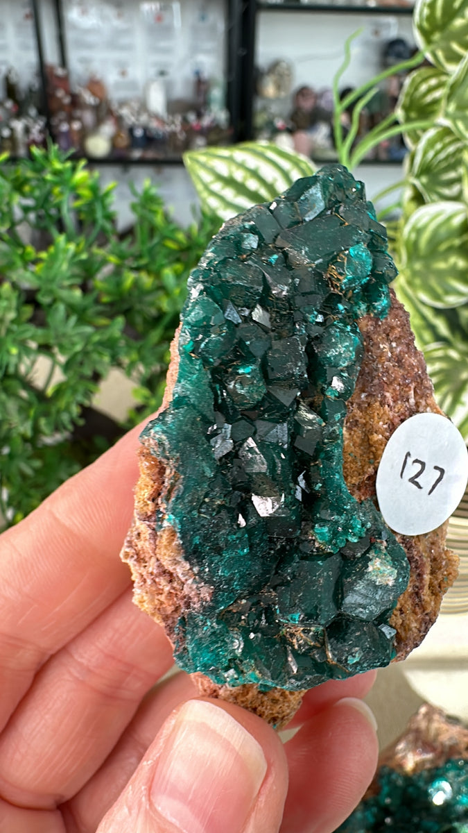 Raw Dioptase – Infinity Crystals by Moana