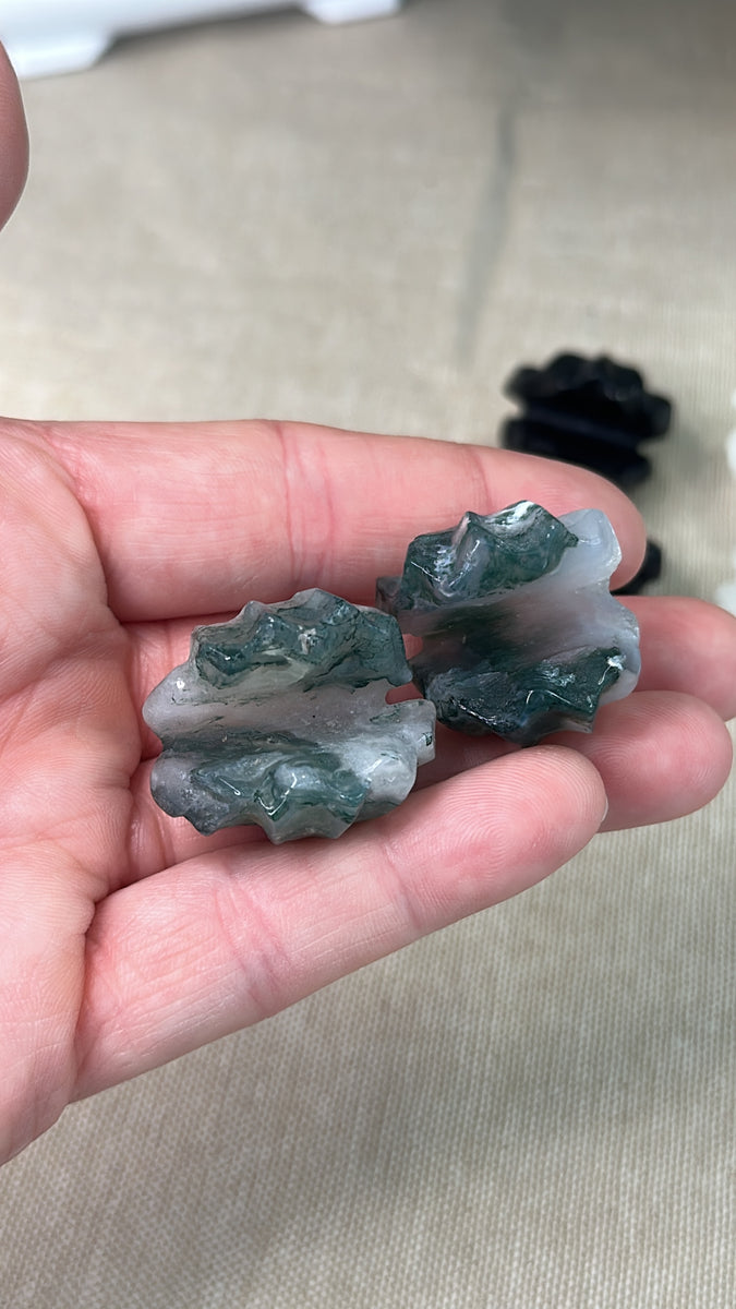 Clam Shells – Infinity Crystals by Moana