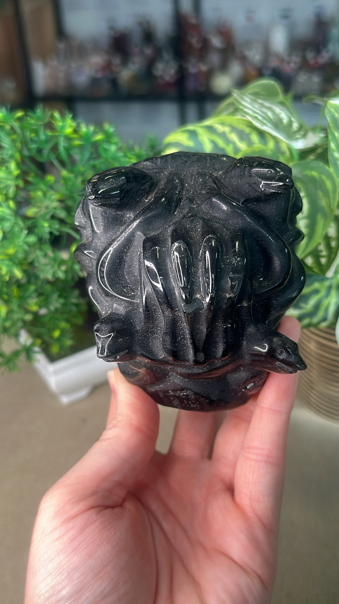 Obsidian Medusa Head – Infinity Crystals by Moana