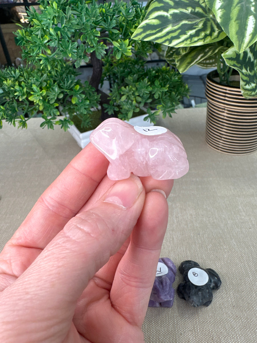 Frogs – Infinity Crystals by Moana